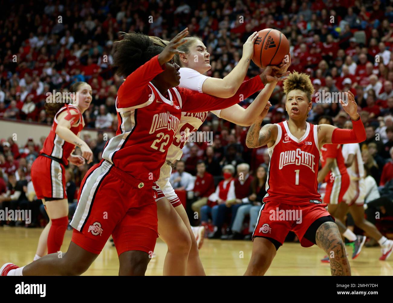 Rikki harris hi-res stock photography and images - Alamy