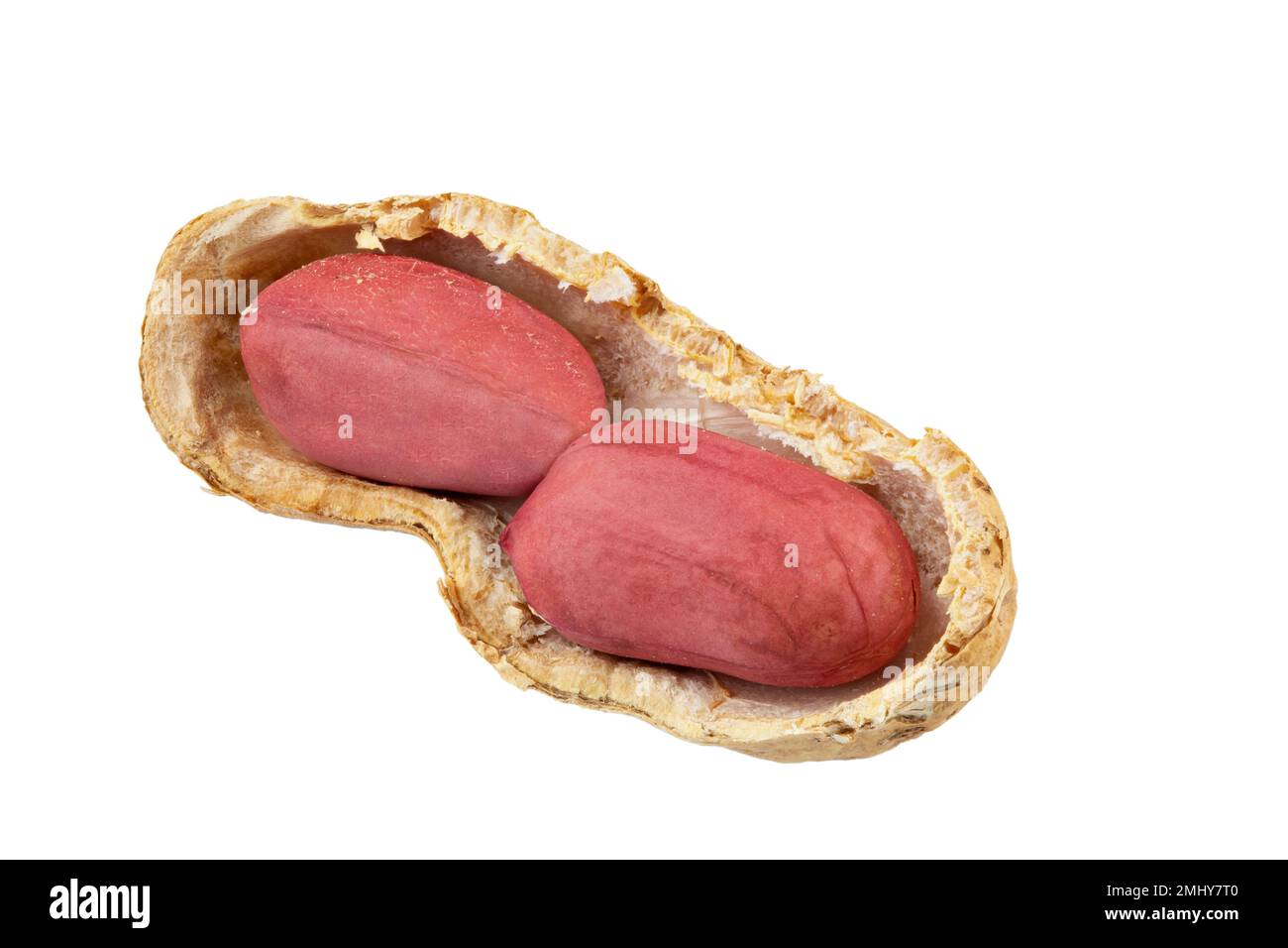 Dried peanuts in closeup isolated on white background. Natural ...