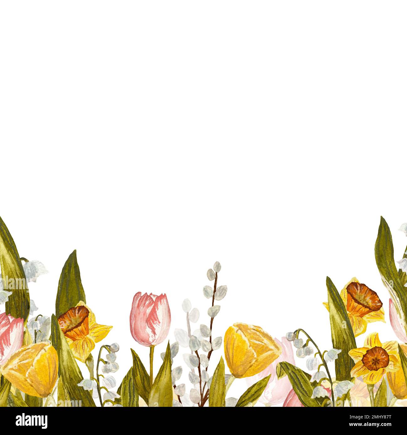 Daffodil border hi-res stock photography and images - Alamy