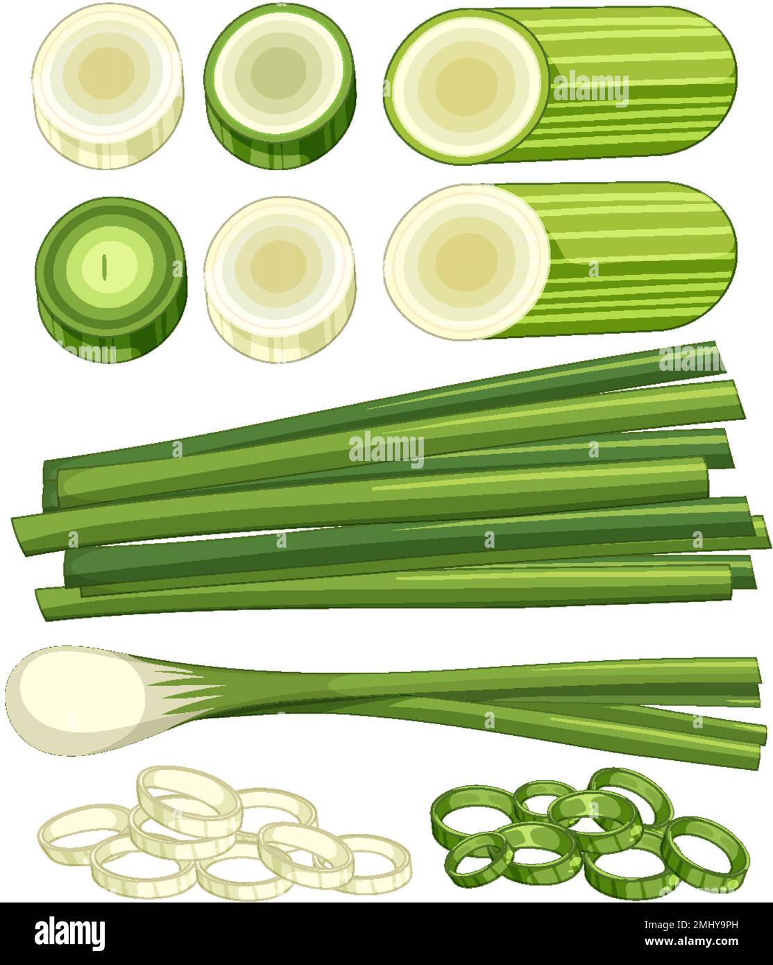 Cartoon spring onion isolated illustration Stock Vector Image & Art - Alamy
