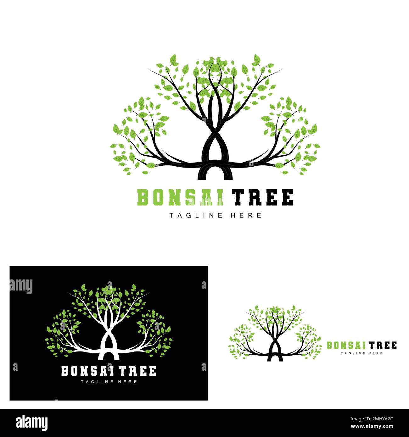 Oak bonsai hi-res stock photography and images - Alamy