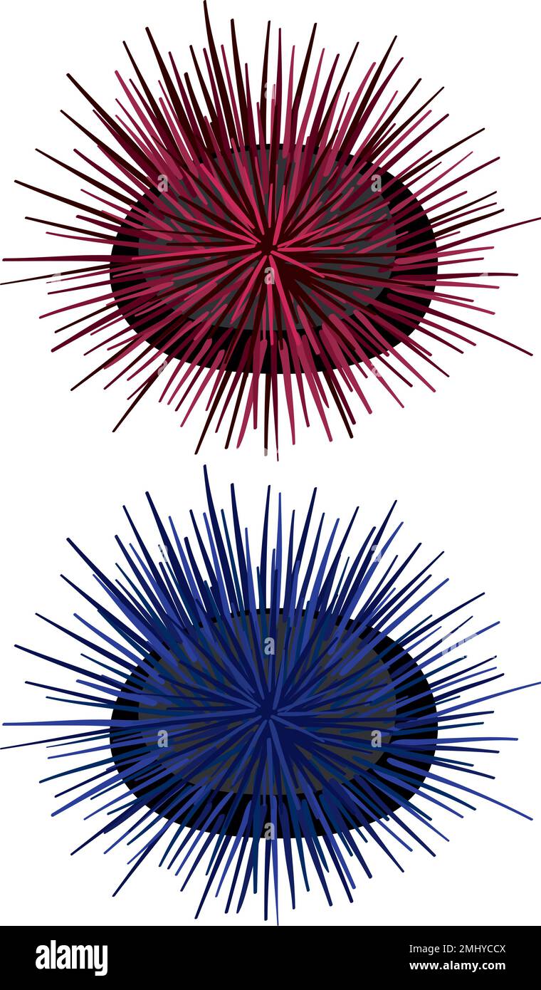 Sea urchin cartoon isolated illustration Stock Vector Image & Art - Alamy