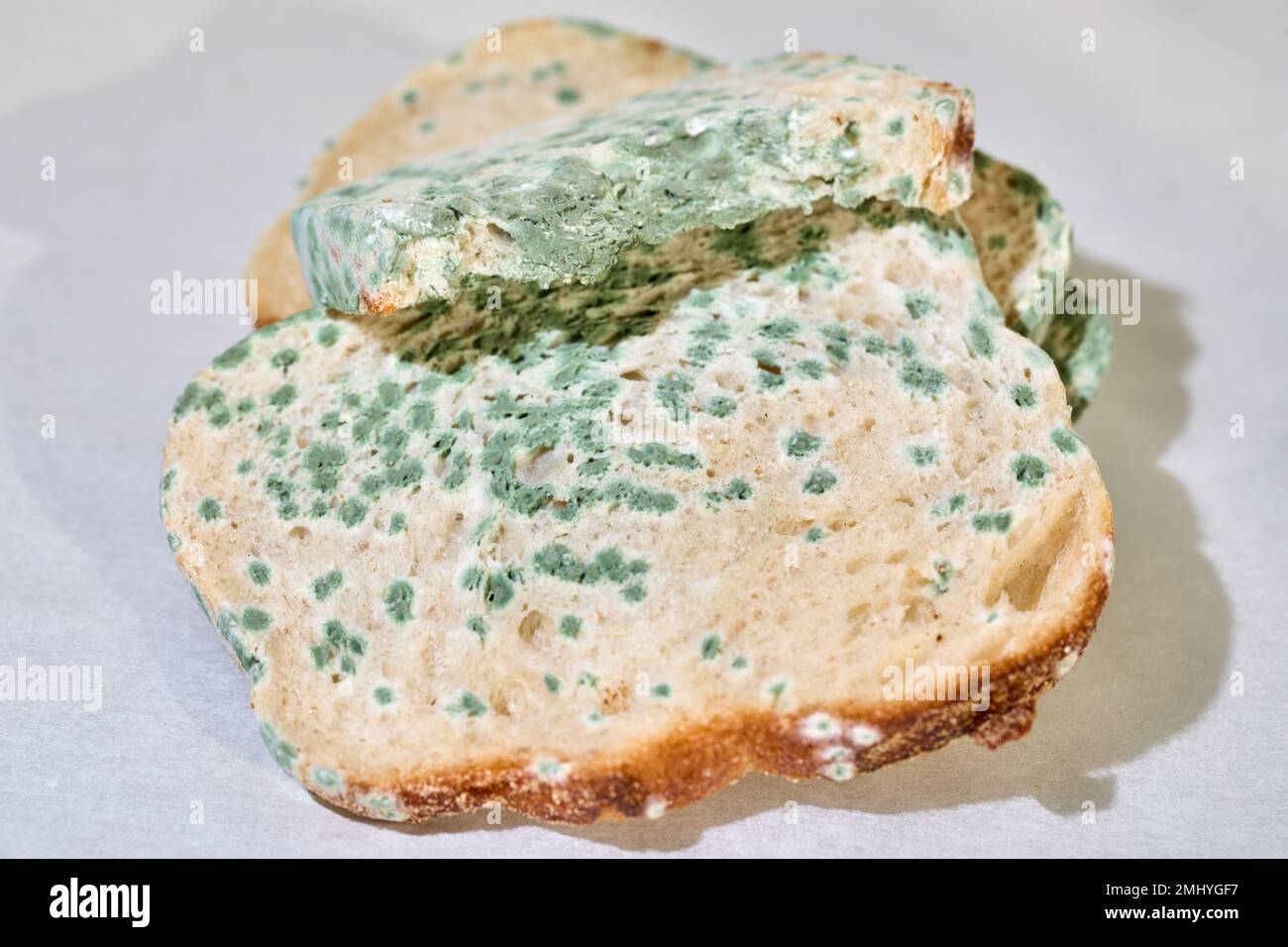 Moldy bread, sliced Stock Photo - Alamy