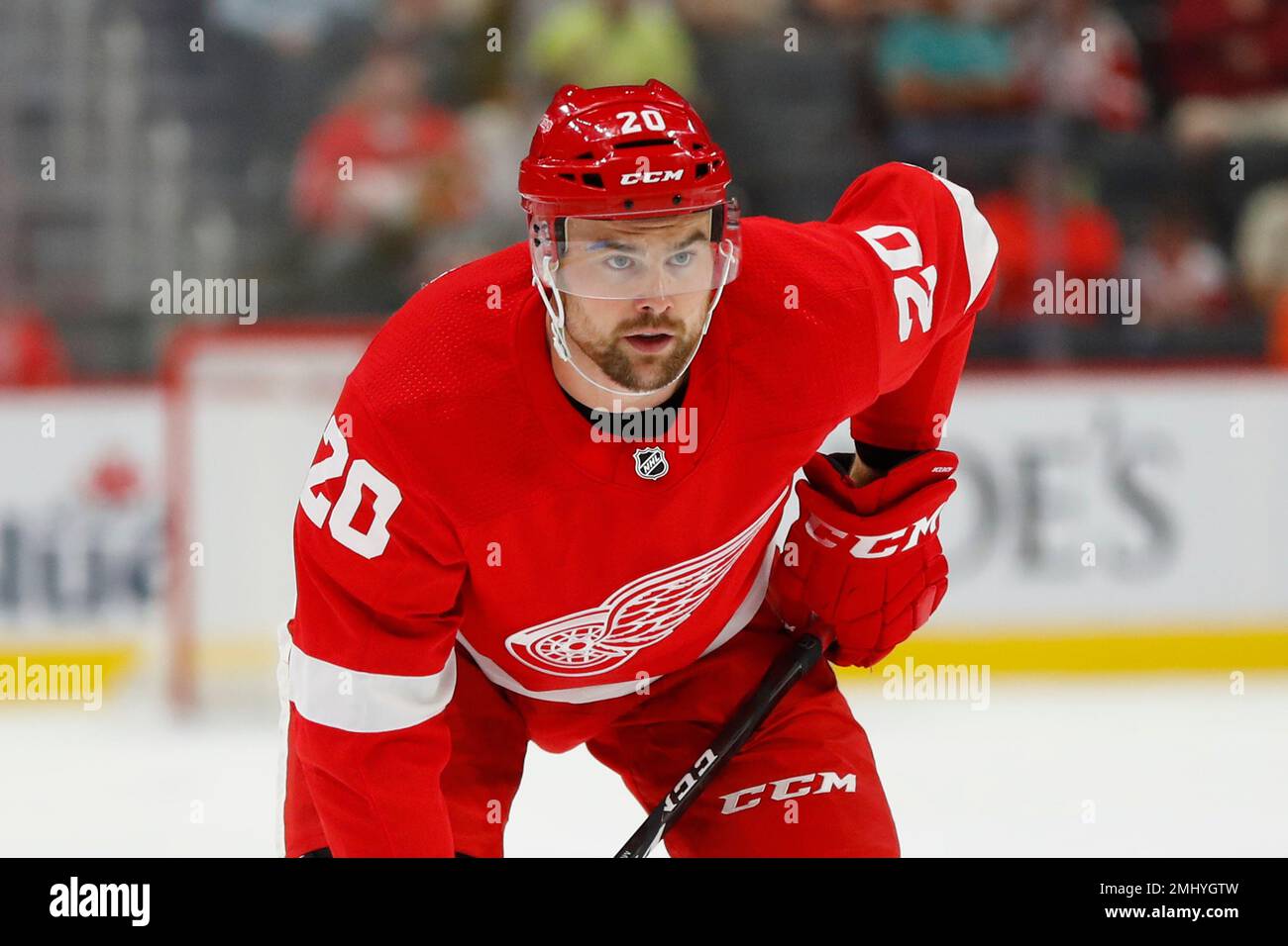 Detroit Red Wings defenseman Dylan McIlrath plays against the ...