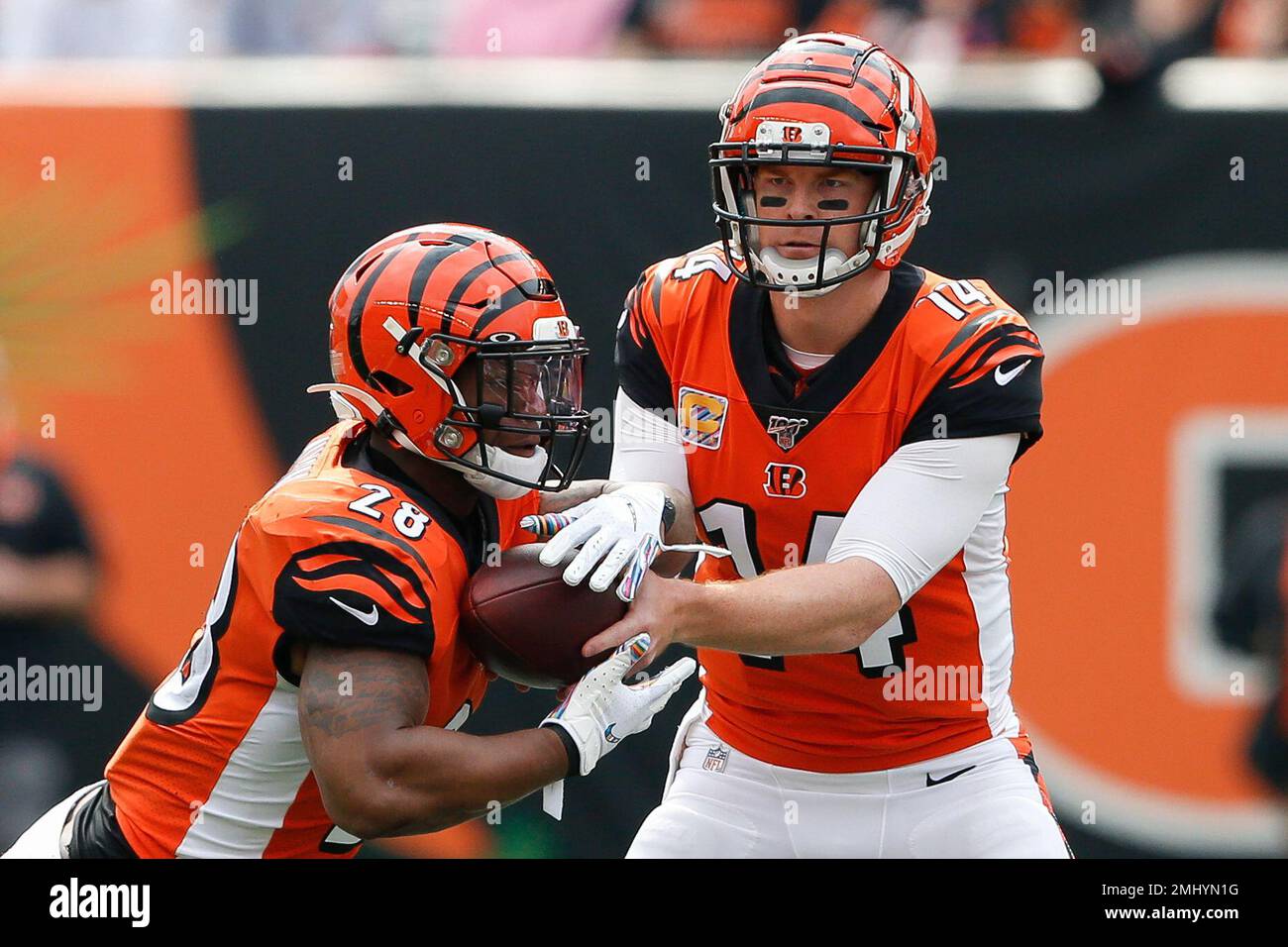 Cincinnati Bengals quarterback Andy Dalton (14) hands the ball to ...