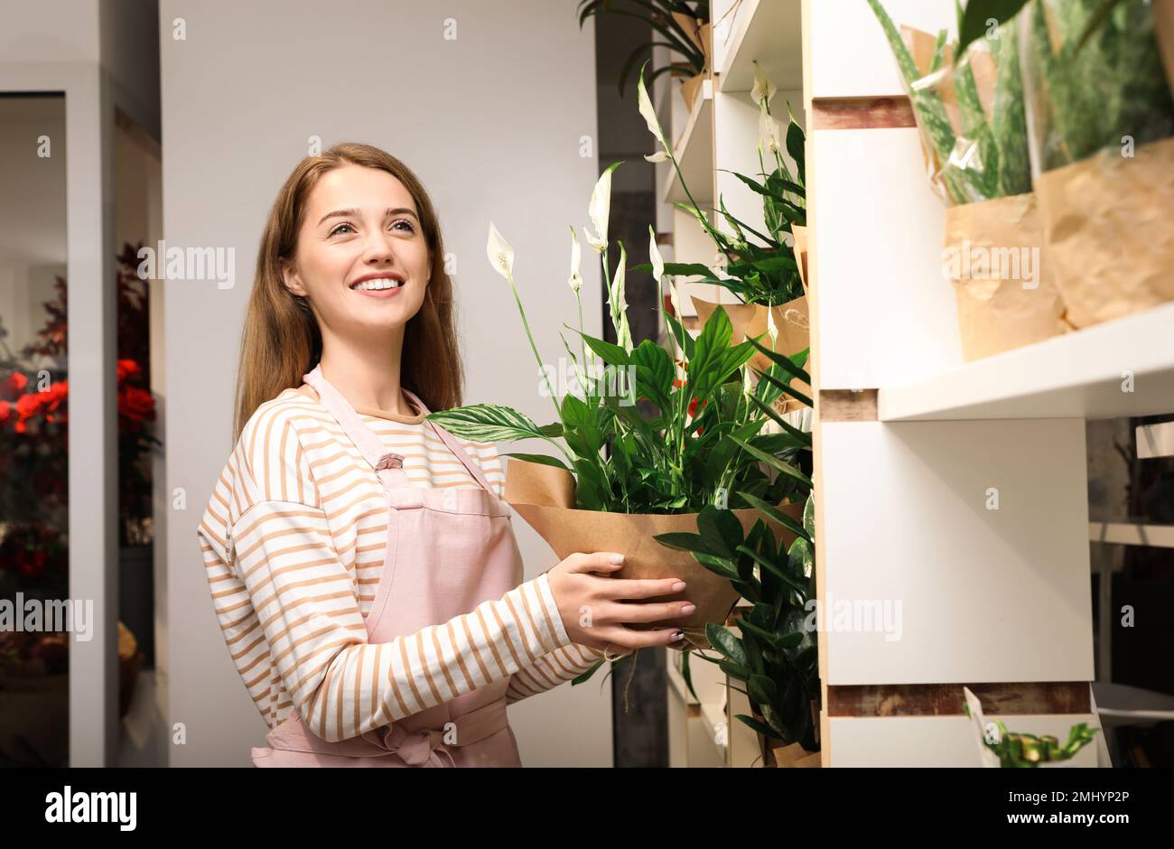 Professional female florist in apron at workplace Stock Photo - Alamy