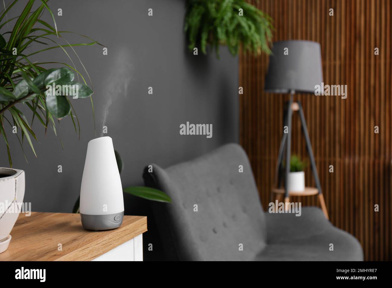 Plant and oil diffuser on cabinet indoors. Home design idea Stock Photo ...