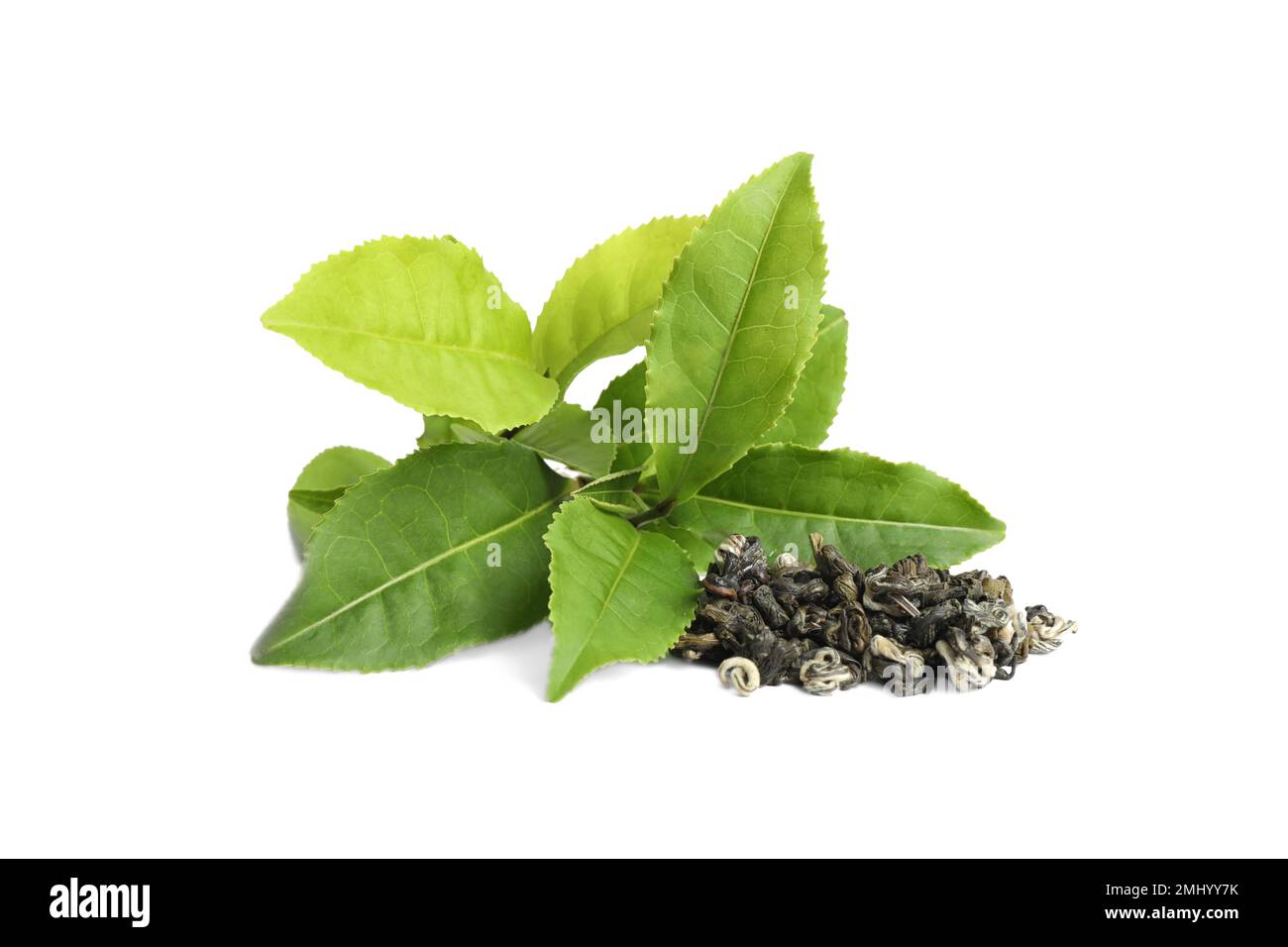 Dry and fresh tea leaves isolated on white Stock Photo - Alamy