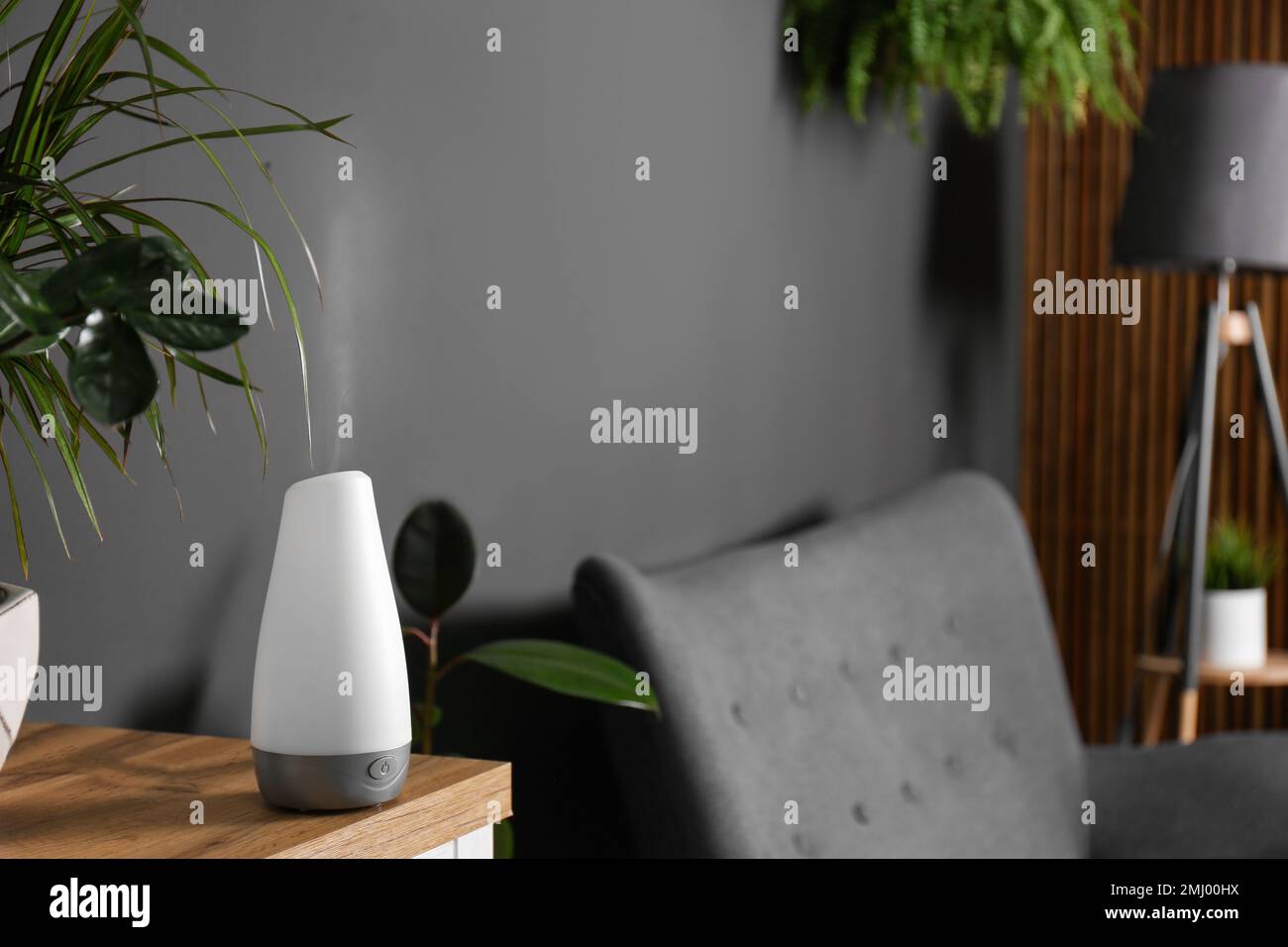 Plant and oil diffuser on cabinet indoors. Home design idea Stock Photo ...