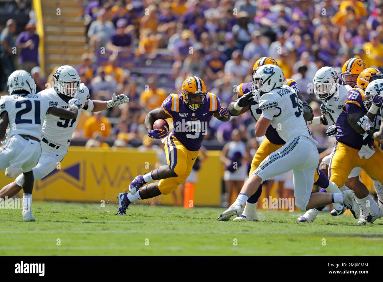 LSU running back Tyrion Davis-Price (3) carries in the first half of an ...