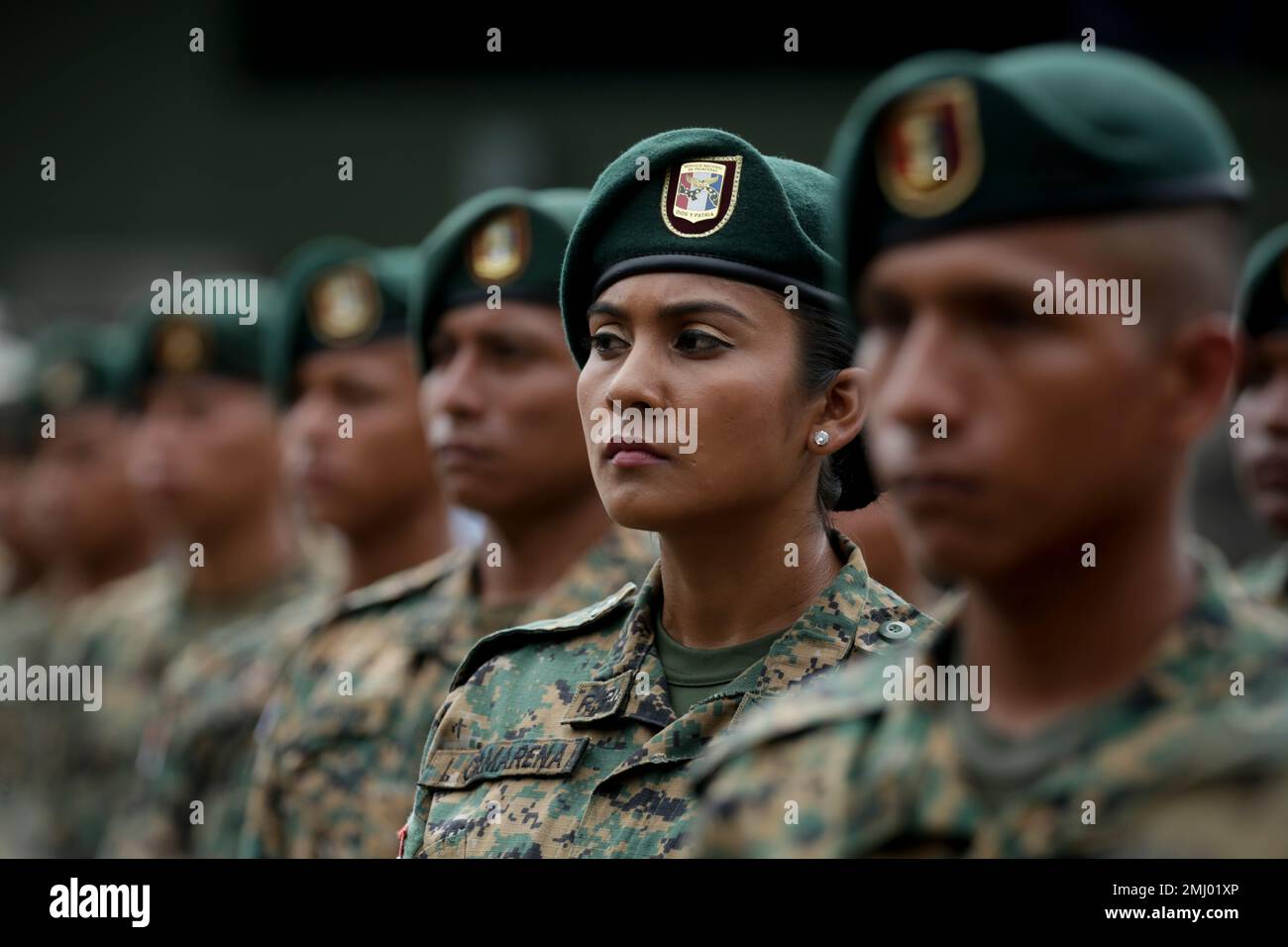 Newly graduated border police officers stand at attention during their ...
