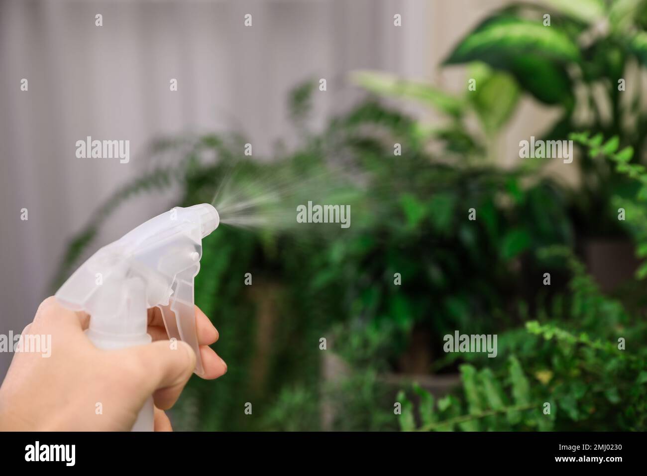 Woman hand spraying home plants hi-res stock photography and images - Alamy