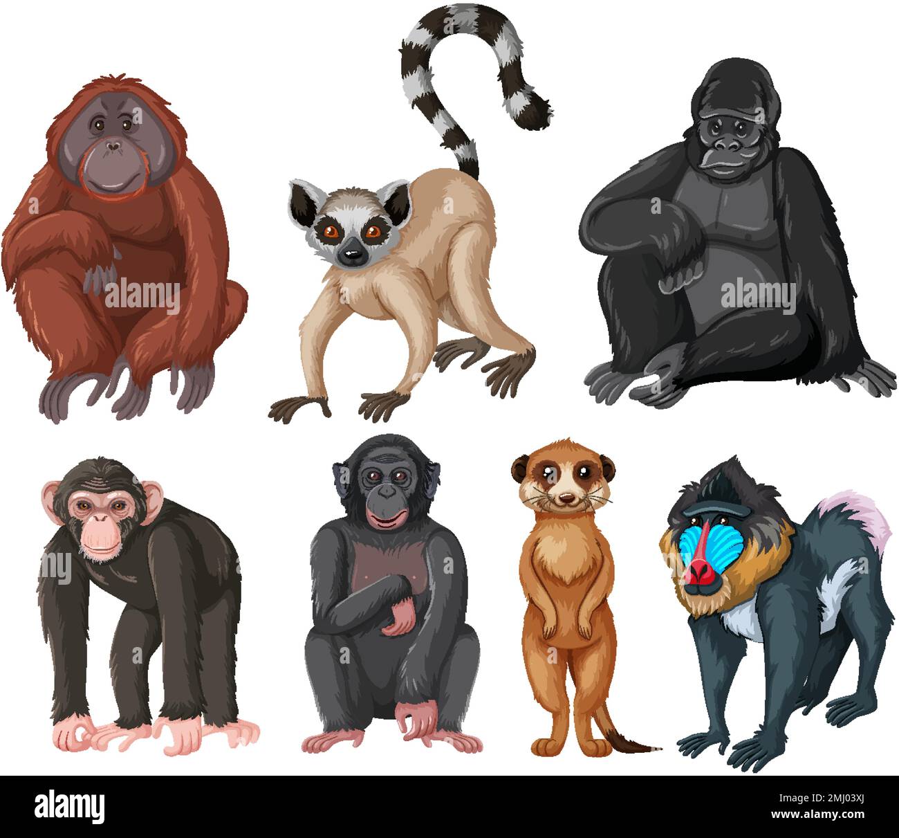 Set of ape animals illustration Stock Vector Image & Art - Alamy