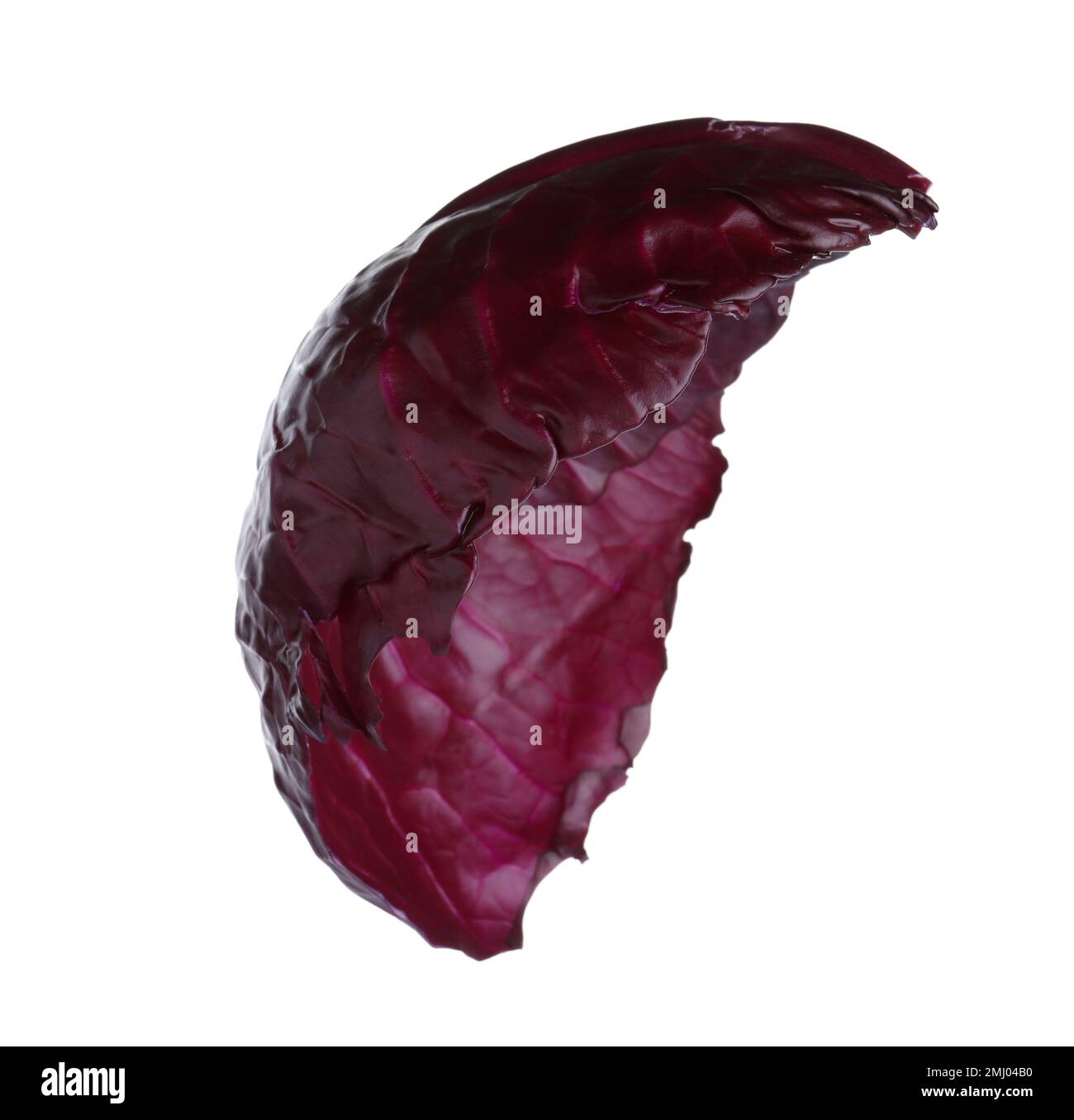 Leaf of red cabbage isolated on white Stock Photo - Alamy