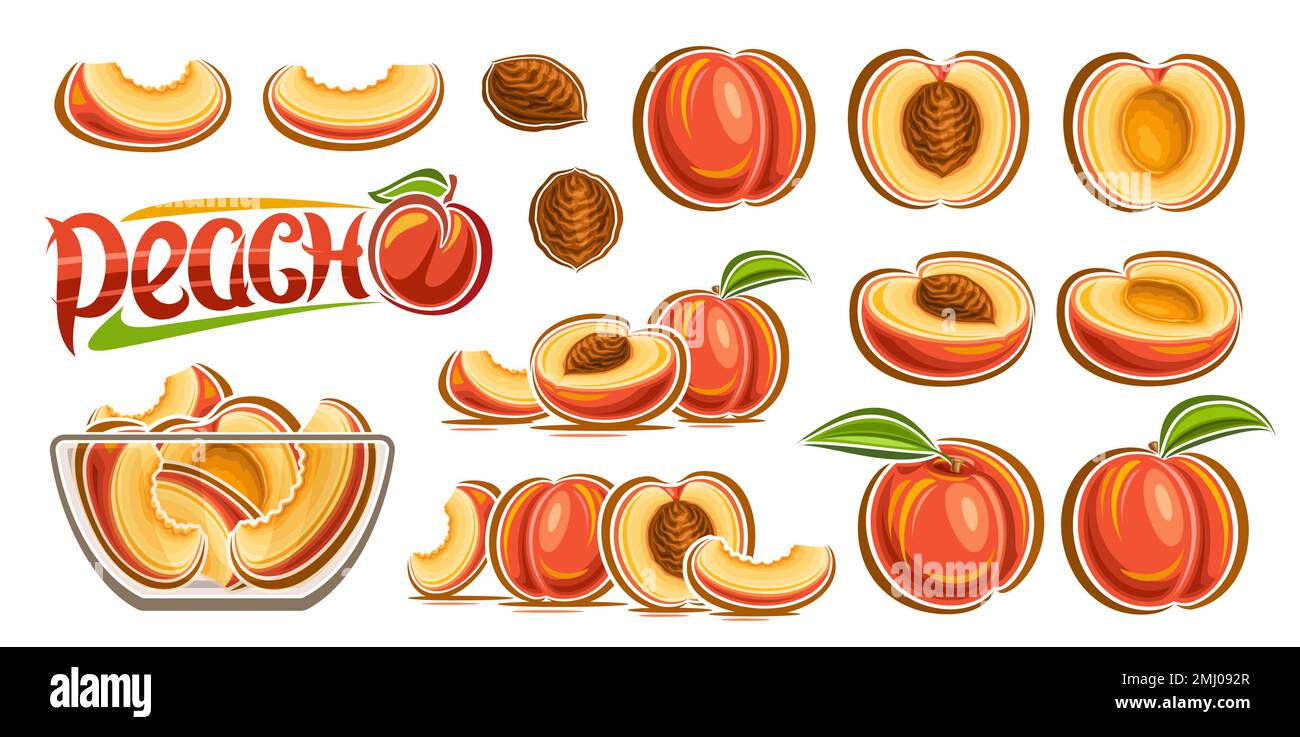 Peach half cut out Stock Vector Images - Alamy
