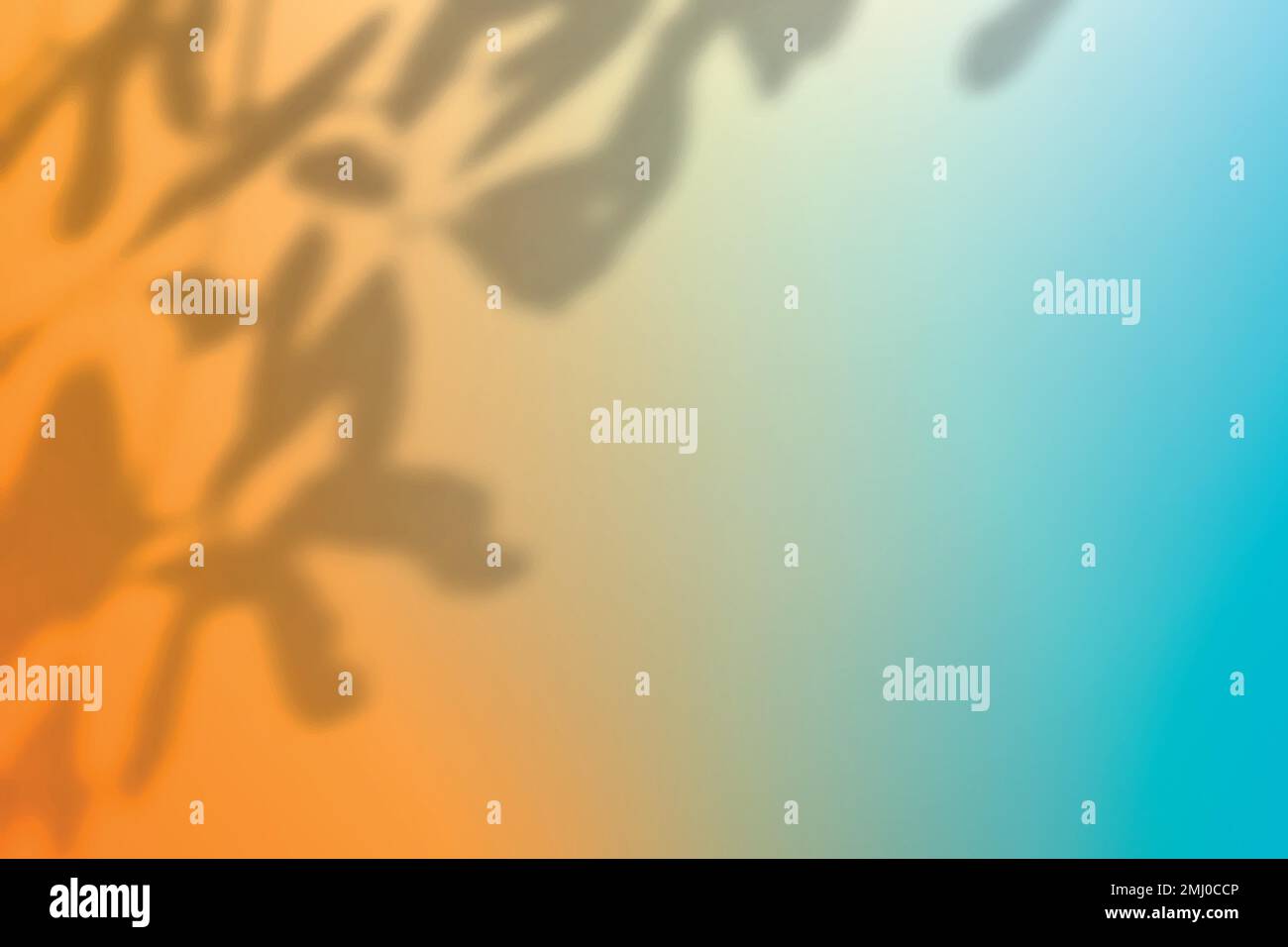 Colorful gradient background vector with leaf shadow Stock Vector Image & Art - Alamy