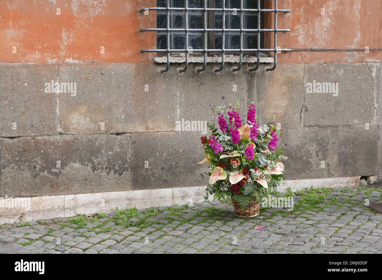 Flowers for Holocaust Remembrance Day seen in the Jewish Ghetto, Rome ...