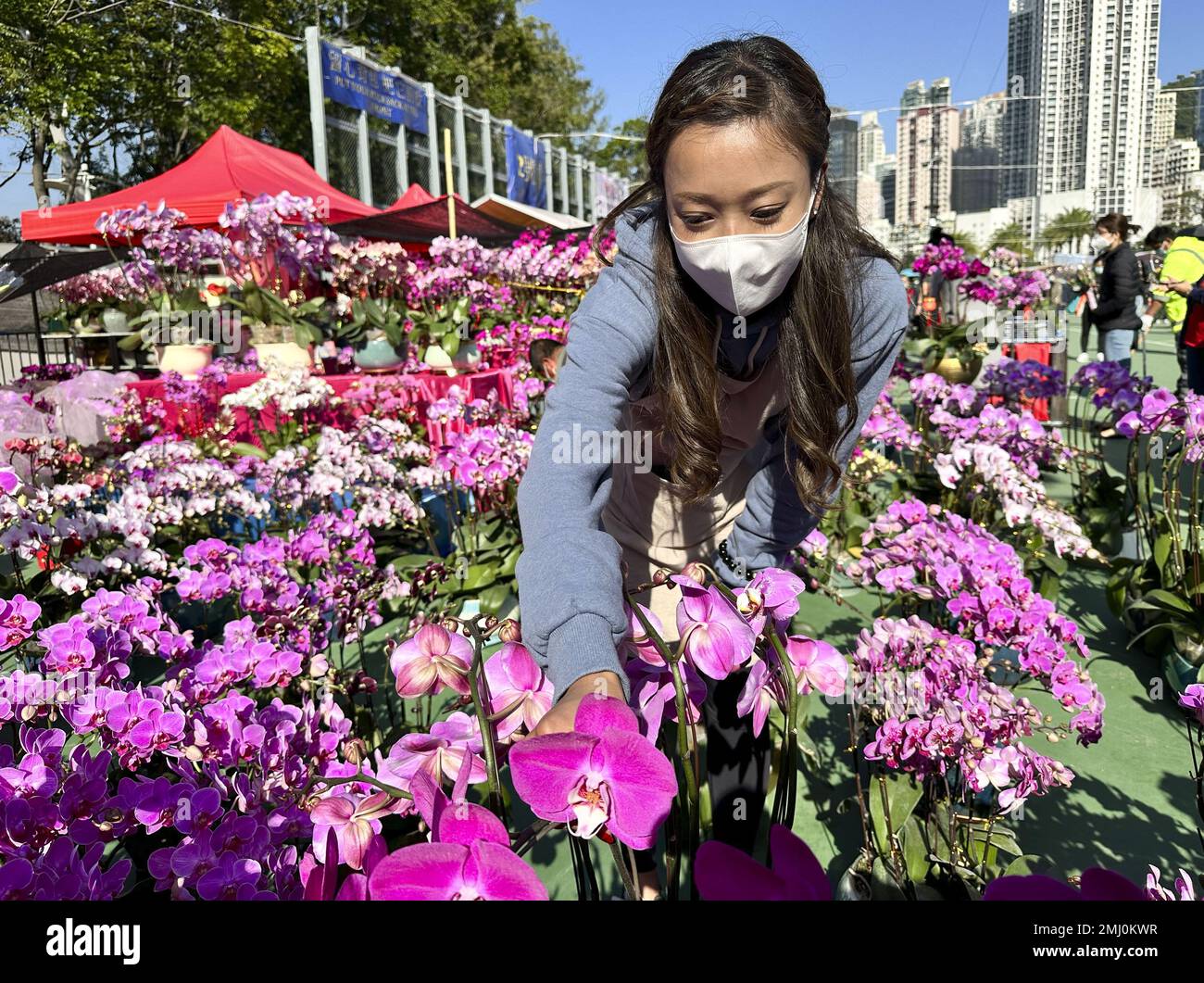Michelle Ng selling orchids at the Lunar New Year fair at Victoria Park ...