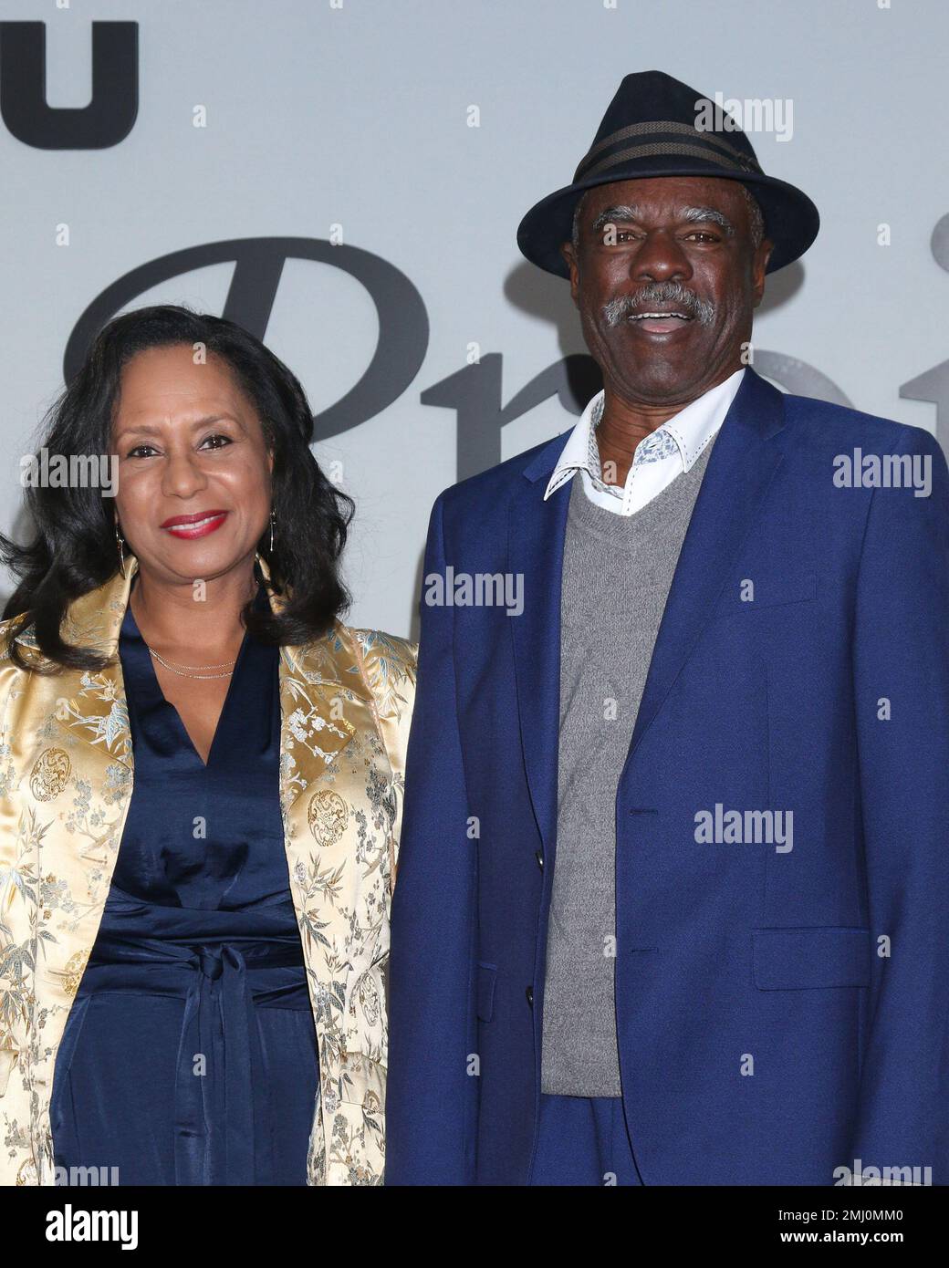 LOS ANGELES - JAN 26: Jo-Ann Turman, Glynn Turman at The 1619 Project ...