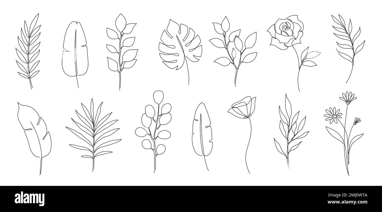 Flower, floral leaf one line art. One continuous line art leaf, flower ...