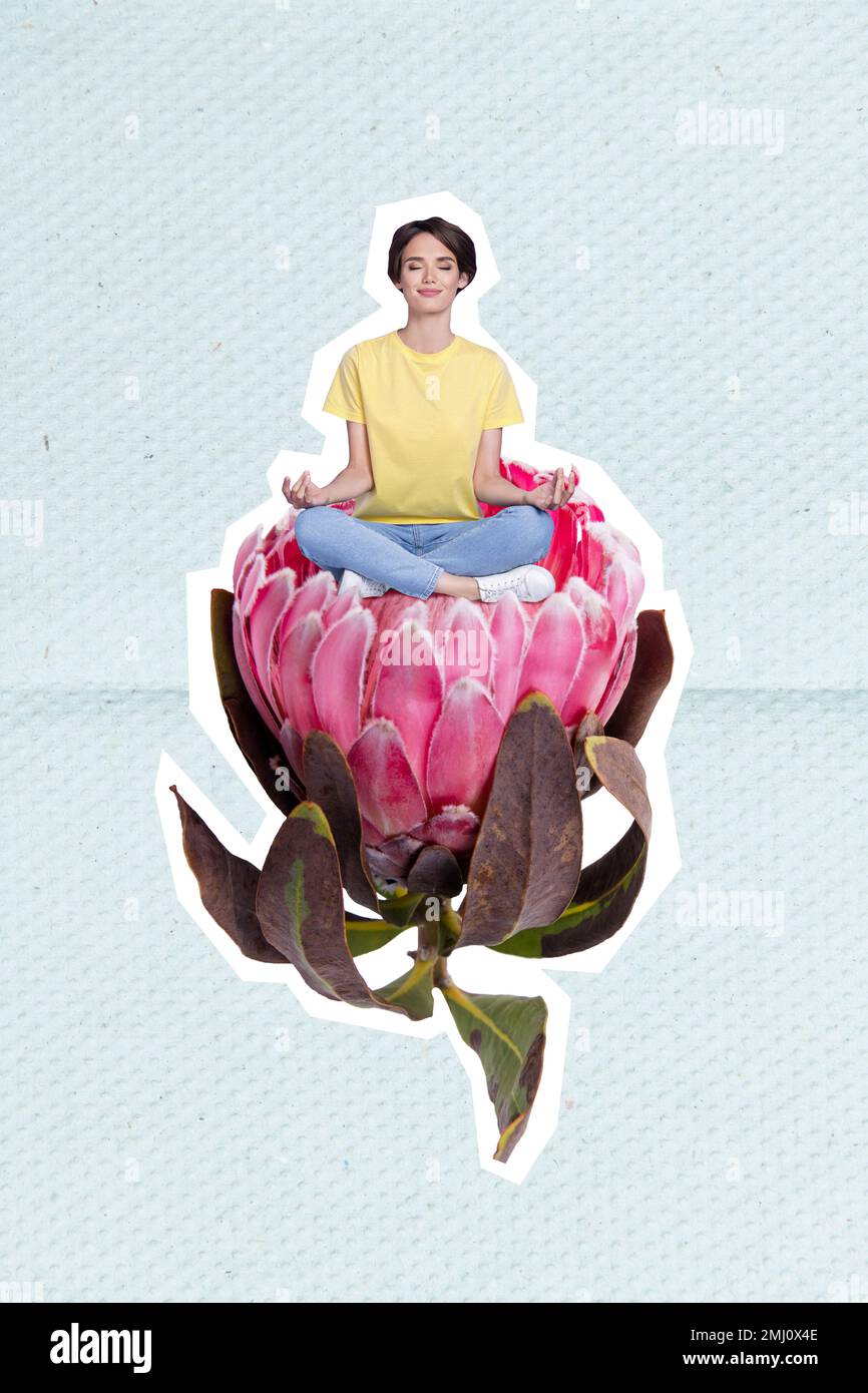 Creative photo 3d collage artwork poster postcard of concentrated ...