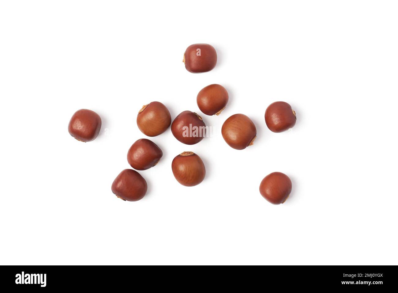 scattered winged bean seeds, also known as cigarillas, manila or four ...