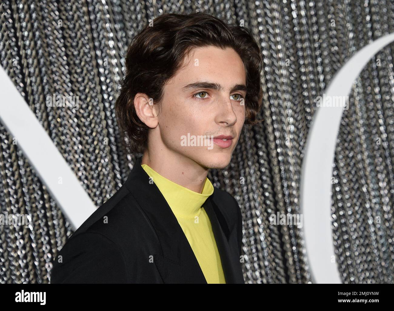 Actor Timothee Chalamet attends the premiere of "The King" at SVA ...