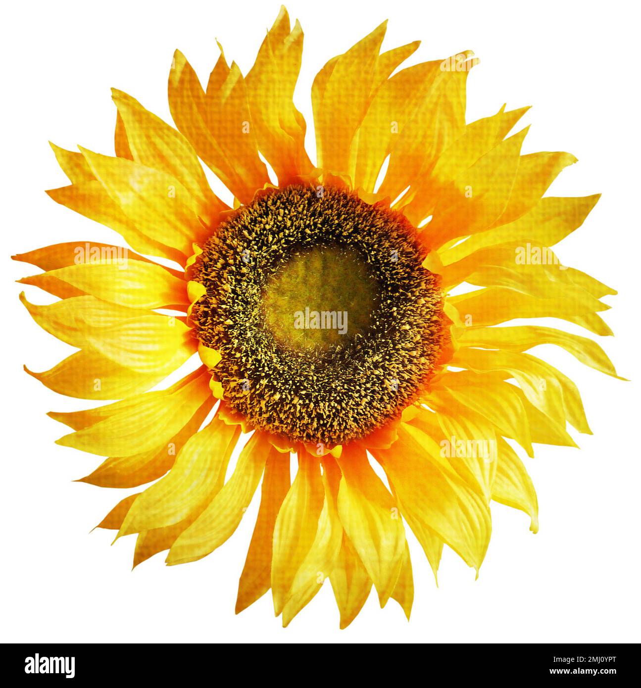 Flower power 70s Cut Out Stock Images & Pictures - Alamy