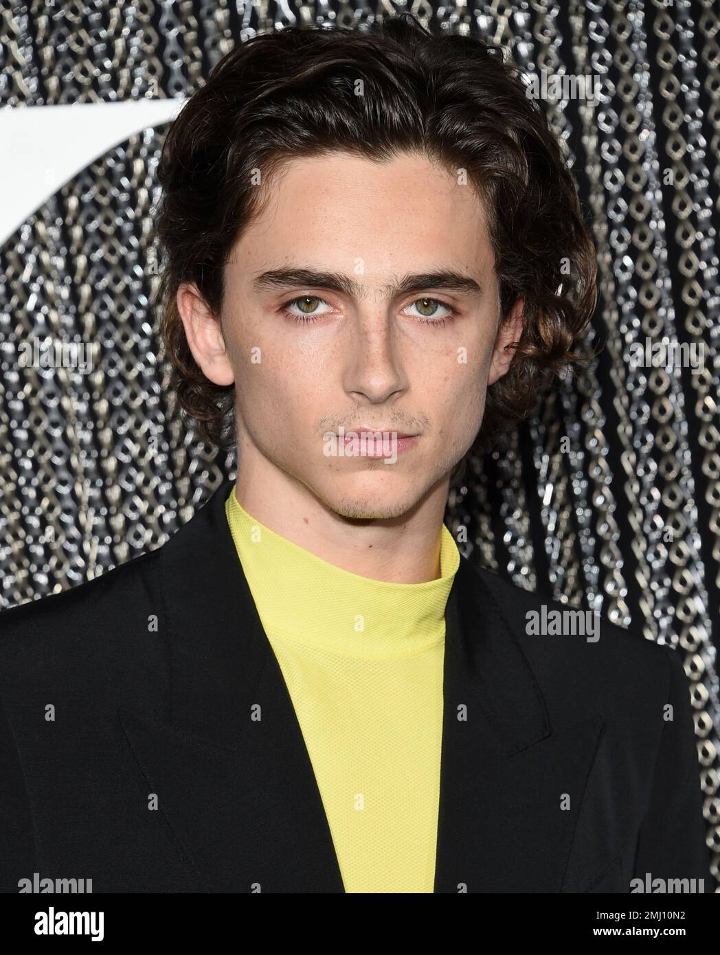 Actor Timothee Chalamet attends the premiere of "The King" at SVA ...