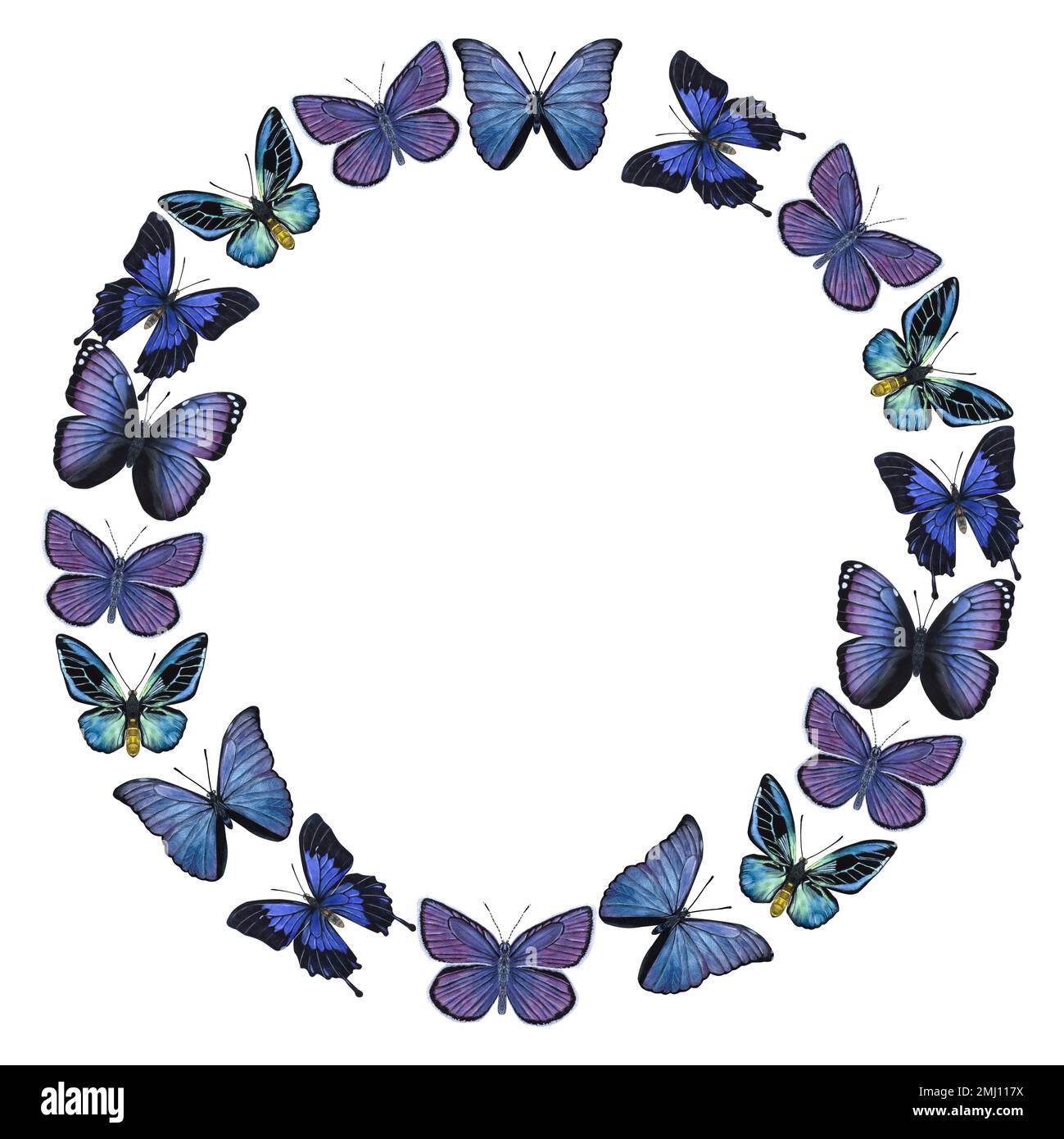 Frame blue violet butterflies. Shape of a circle. Hand-drawn watercolor ...
