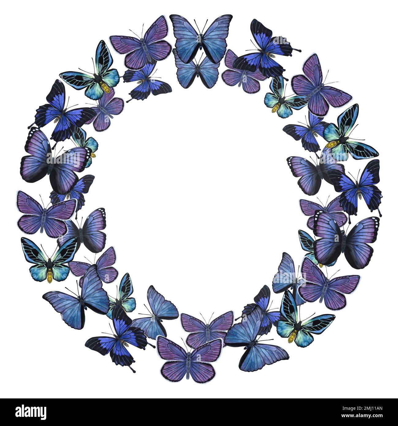 Frame blue violet butterflies. Shape of a circle. Hand-drawn watercolor ...