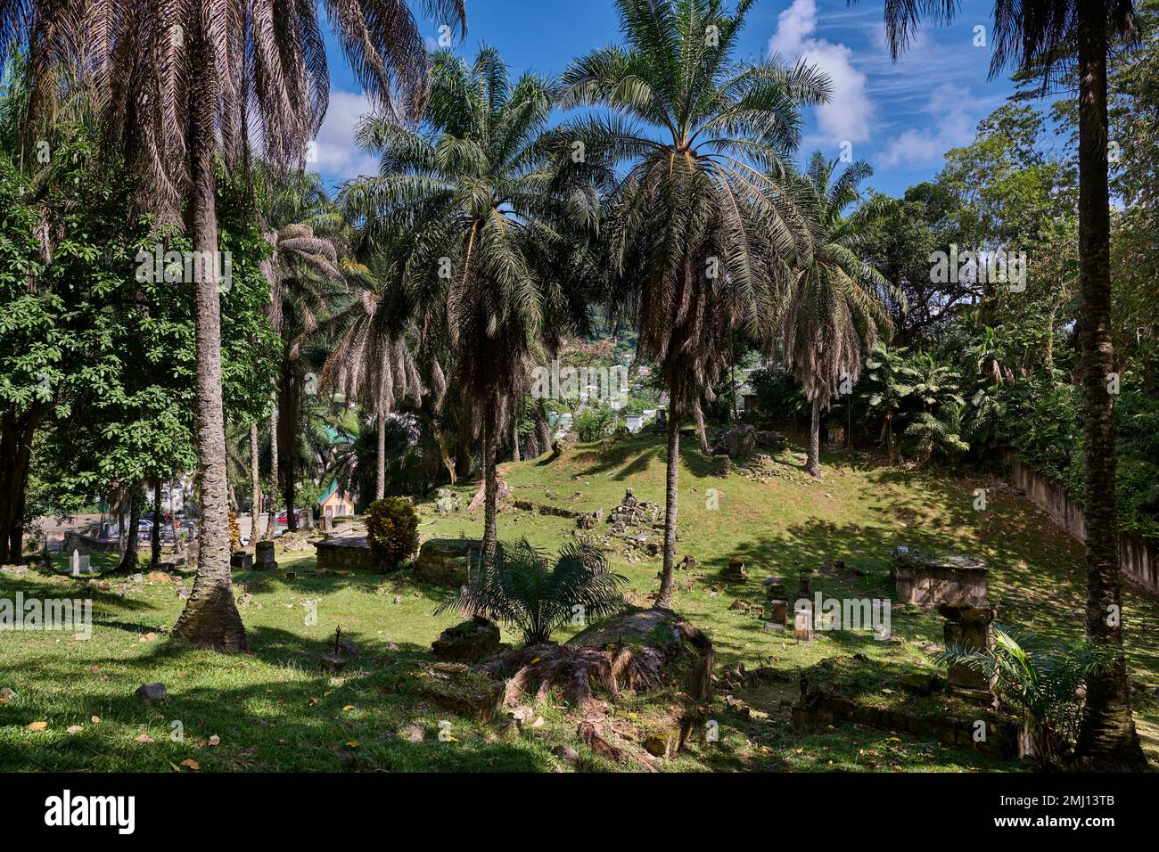 historic colonial-era cemetery, gravestones, tombs and memorials in ...