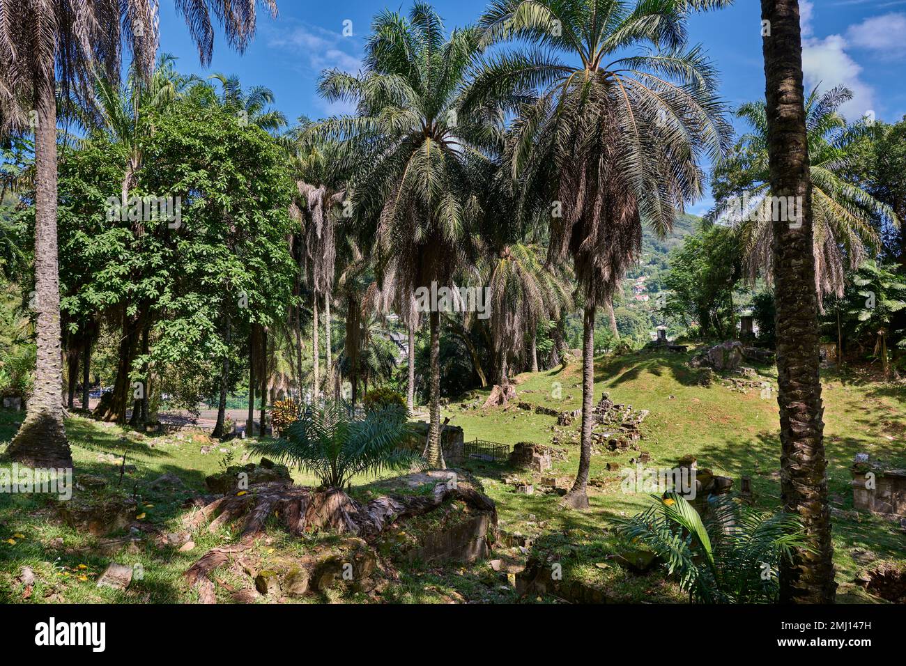 historic colonial-era cemetery, gravestones, tombs and memorials in ...