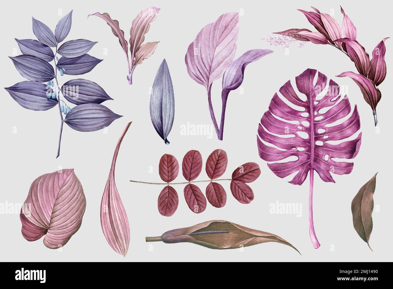 Purple leaves collection design vector Stock Vector Image & Art - Alamy