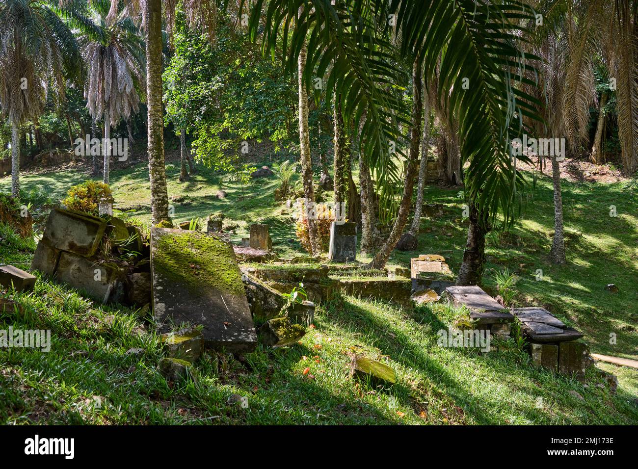 historic colonial-era cemetery, gravestones, tombs and memorials in ...