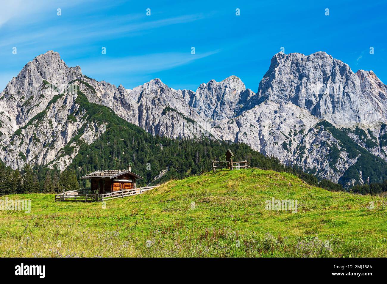 View Of Litzlalm With Hut In The Alps In Austria Stock Photo - Alamy