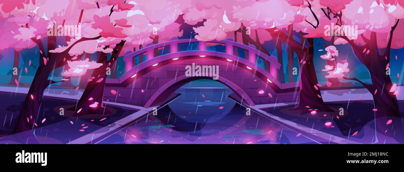 Sakura blossom and bridge in japanese garden in rain at night. Spring ...