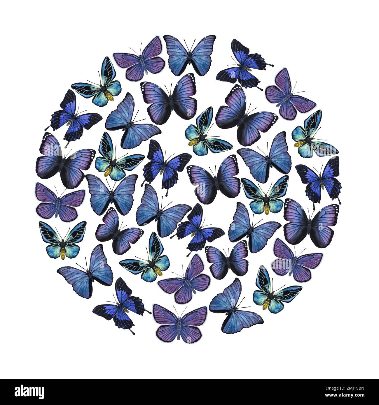 Beautiful blue-violet butterflies in a circle. Hand-drawn watercolor ...