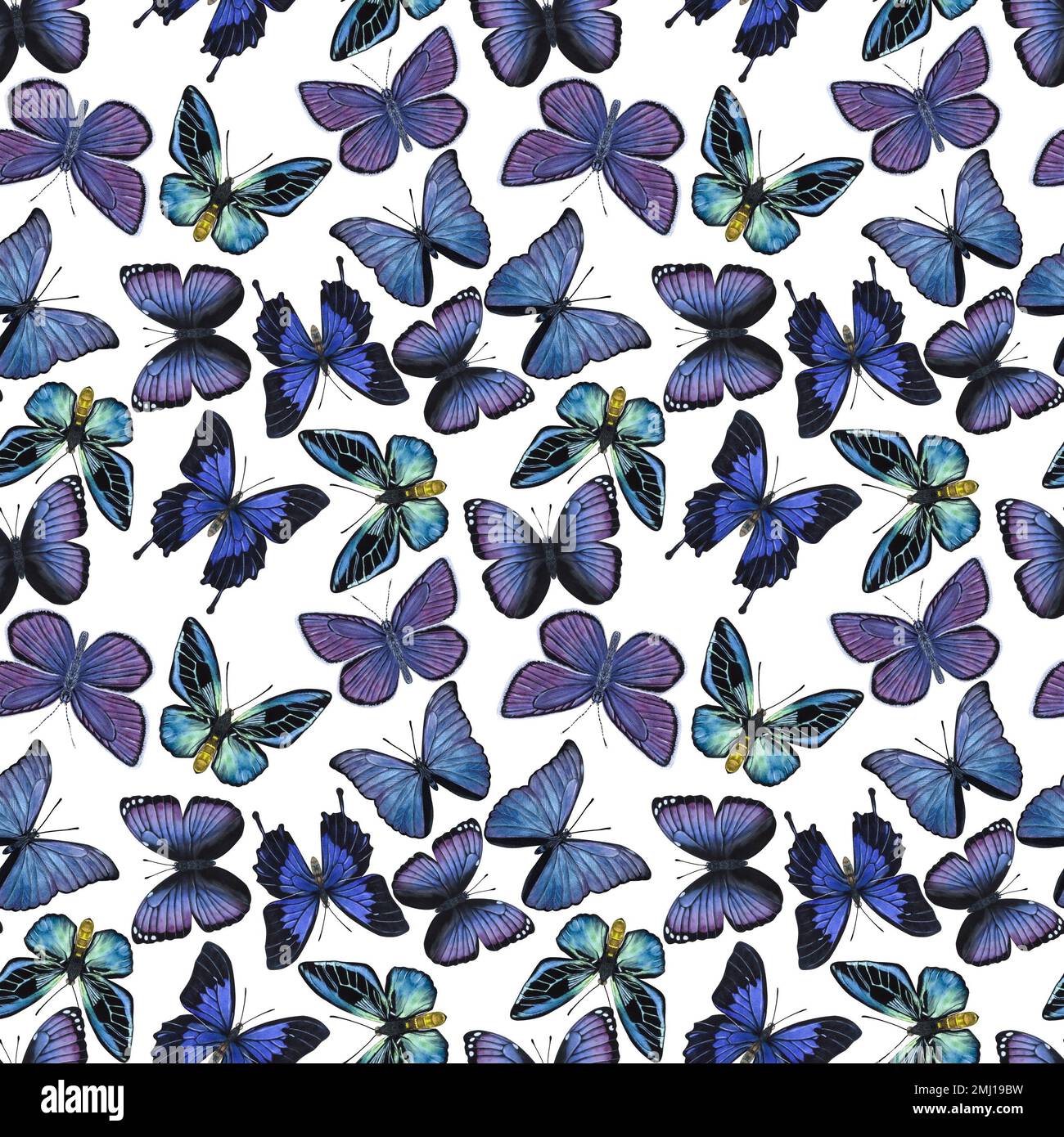 Seamless pattern beautiful blue-violet butterflies. Hand-drawn ...