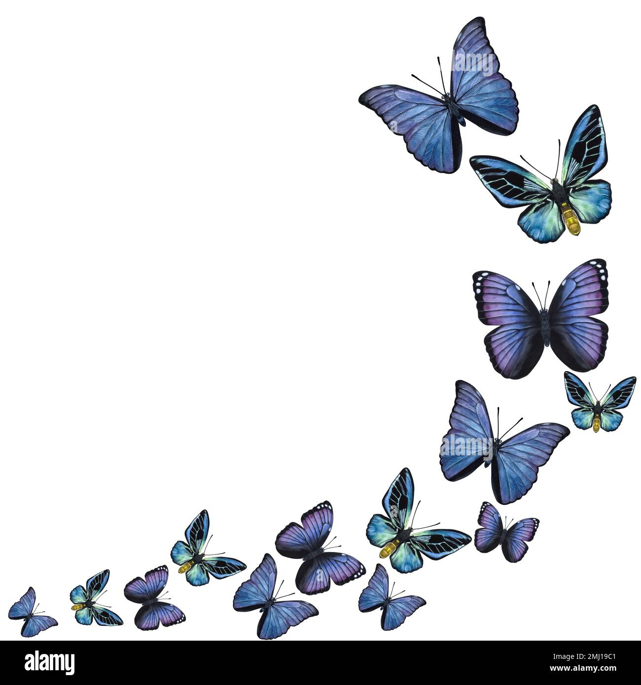 Beautiful blue-violet butterflies. Hand-drawn watercolor illustration ...