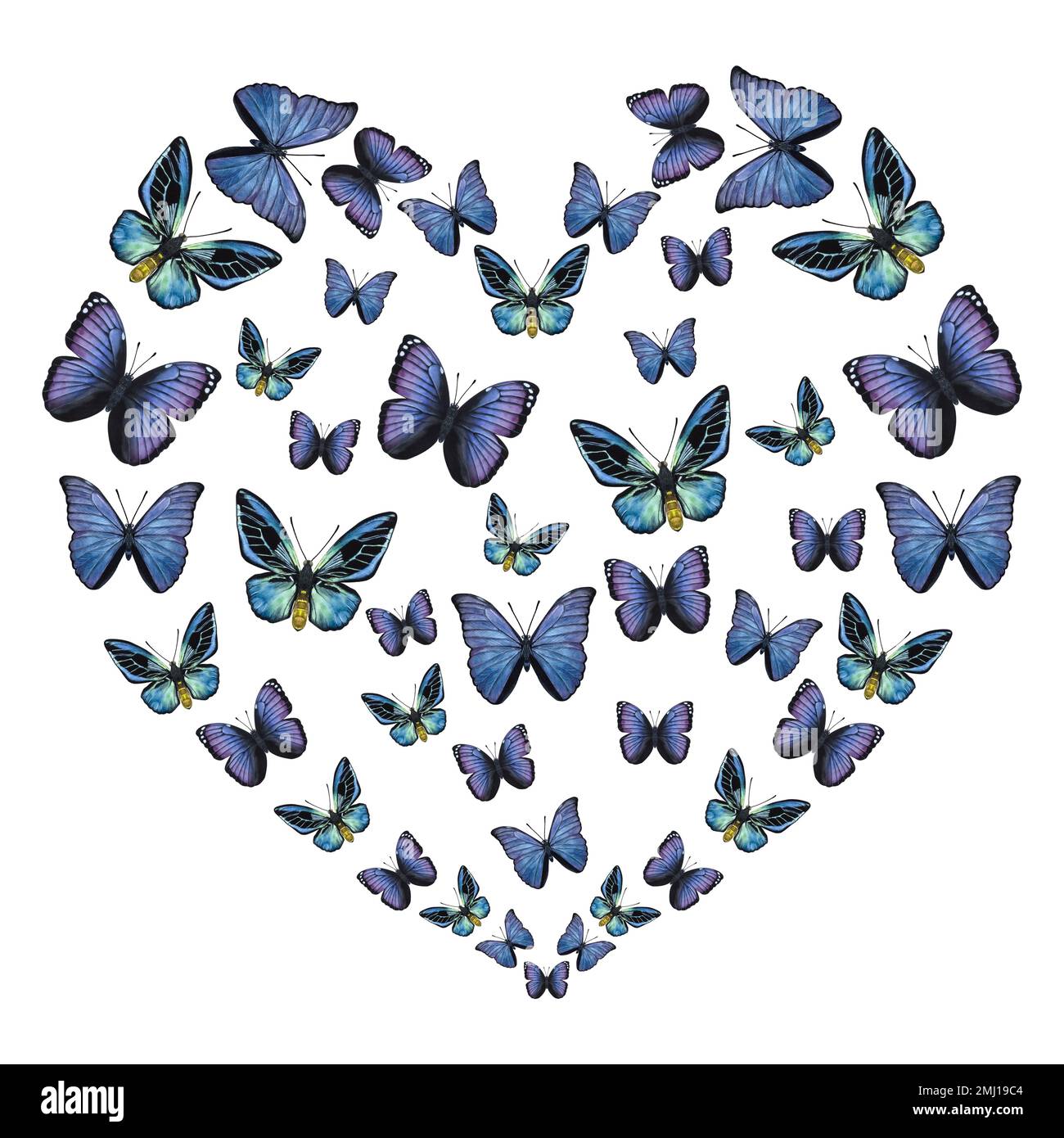 Blue violet butterflies. Shape of a heart. Hand-drawn watercolor ...
