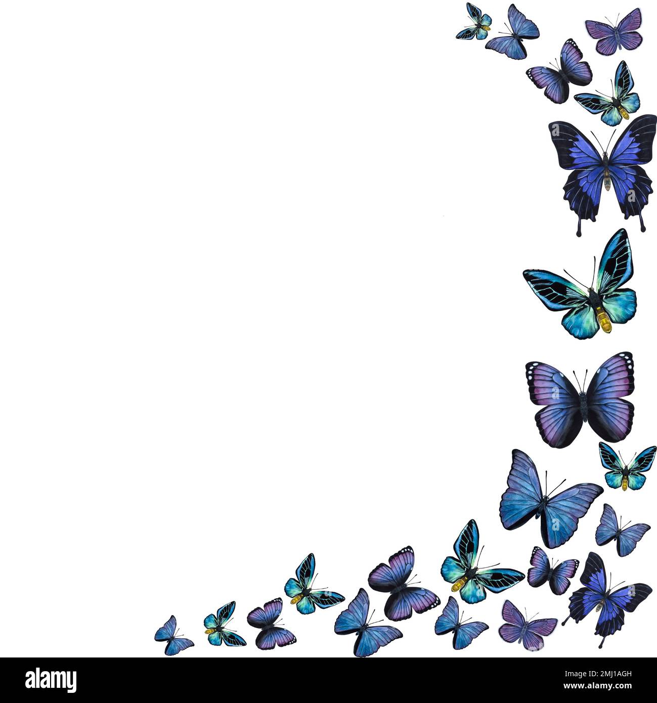 Beautiful blue-violet butterflies. Hand-drawn watercolor illustration ...