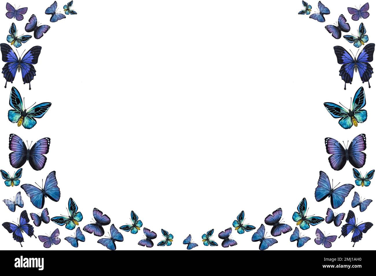 Banner frame blue violet butterflies. Hand-drawn watercolor ...