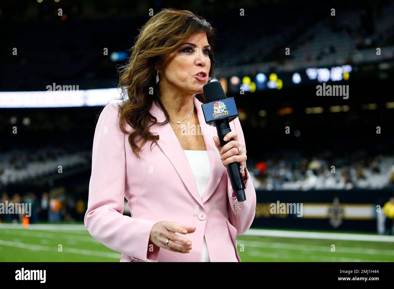 NBC reporter Michelle Tafoya works on the field before an NFL football ...