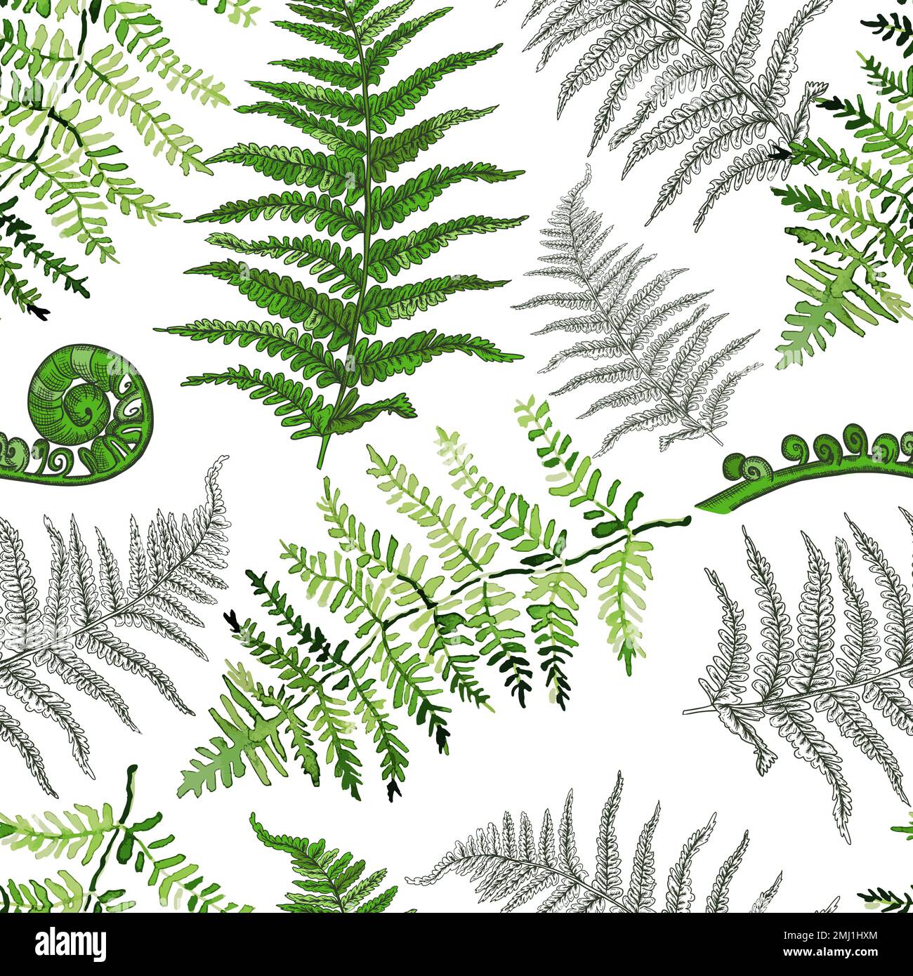 Seamless floral pattern in vintage style. Leaves and plants. Botanical illustration. Fern ...
