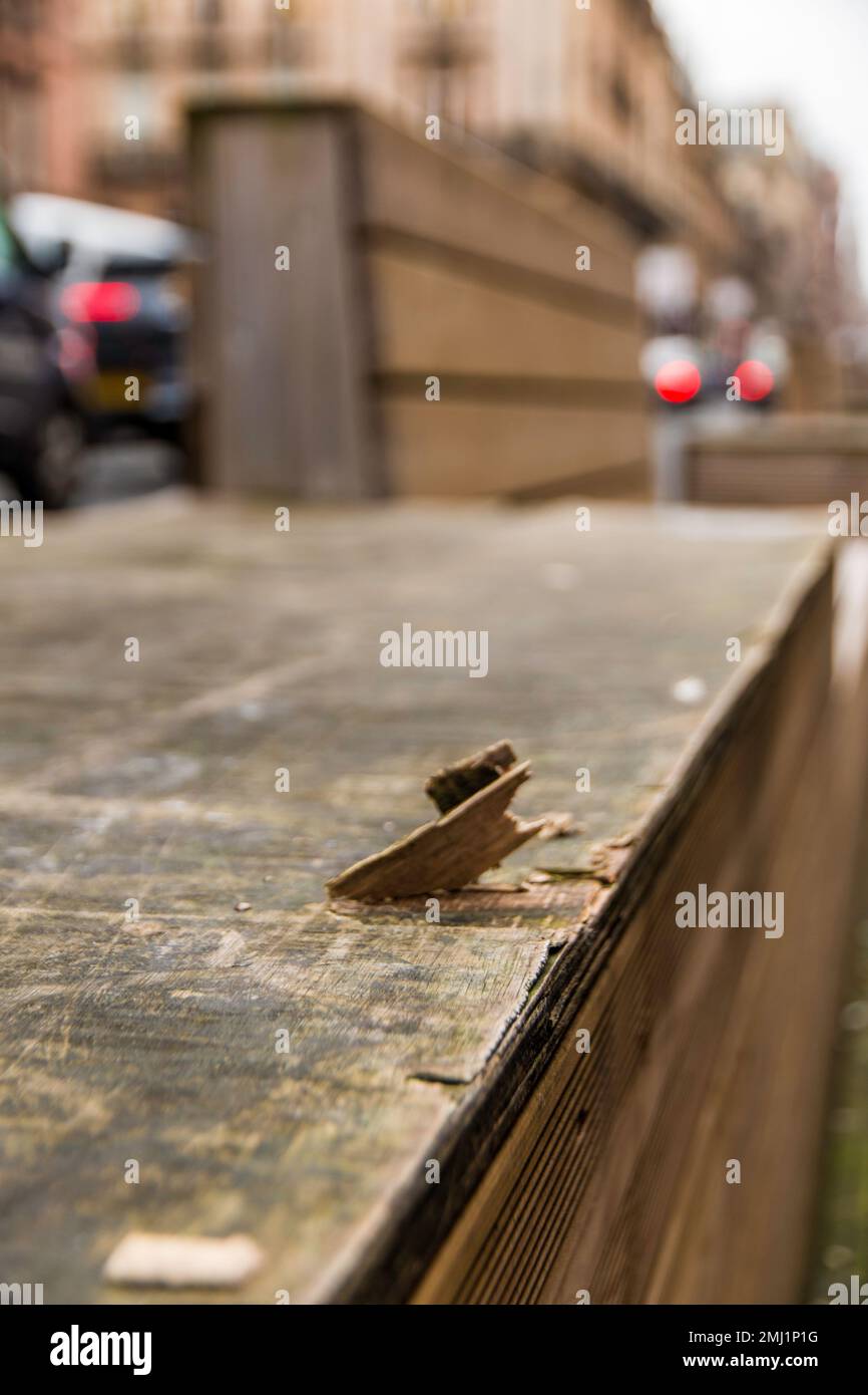 Glasgow George Square SNP Green Road ROT 2023 Stock Photo - Alamy
