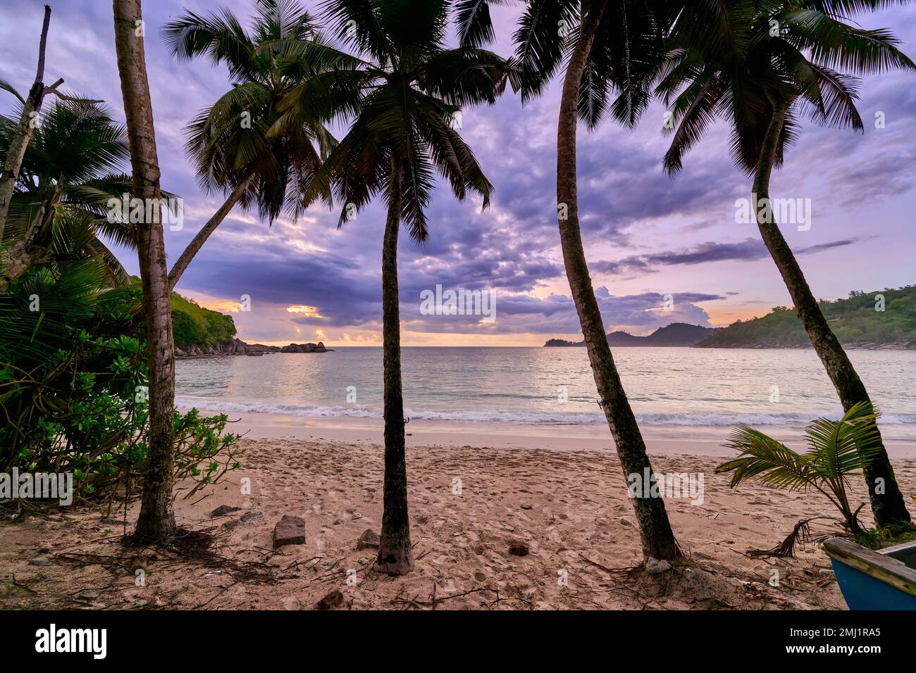 sunset behind palm trees at Anse Takamaka, Mahe, Seychelles Stock Photo ...