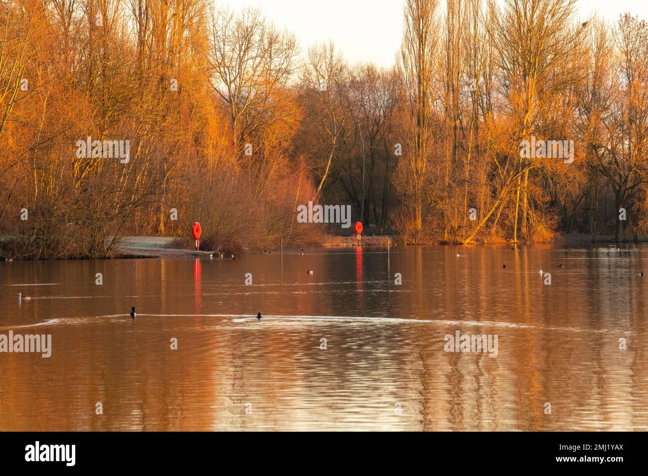 Warm winter morning light at Colwick Park in Nottingham ...