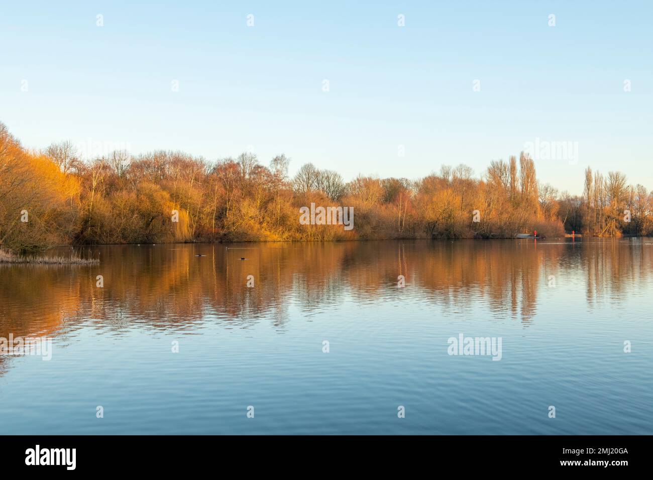 Warm winter morning light at Colwick Park in Nottingham ...