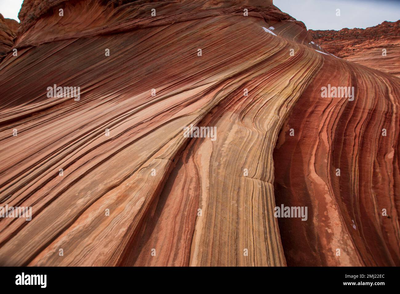 The Wave is a stunning geological formation in the Paria Canyon ...